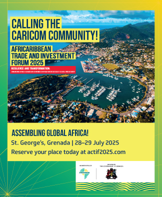 SKNVibes | Flow St. Kitts and Nevis Unveils Bold New Campaign: “Let ...