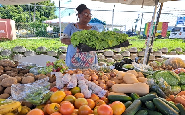 SKNVibes | Supporting Farmers, Together We Succeed: TDC Home and ...