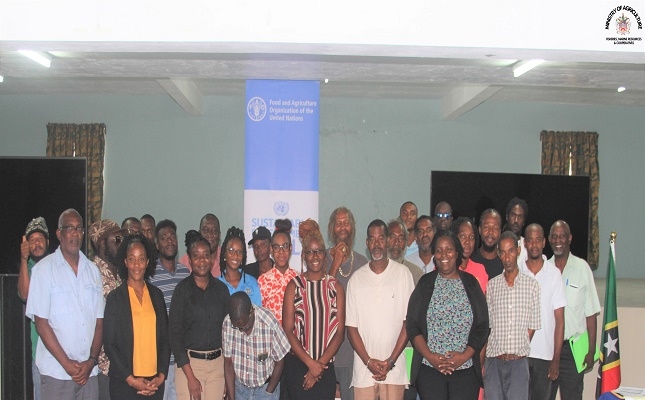 SKNVibes | 3-day St. Kitts National Sweet Pepper Value Chain Assessment ...