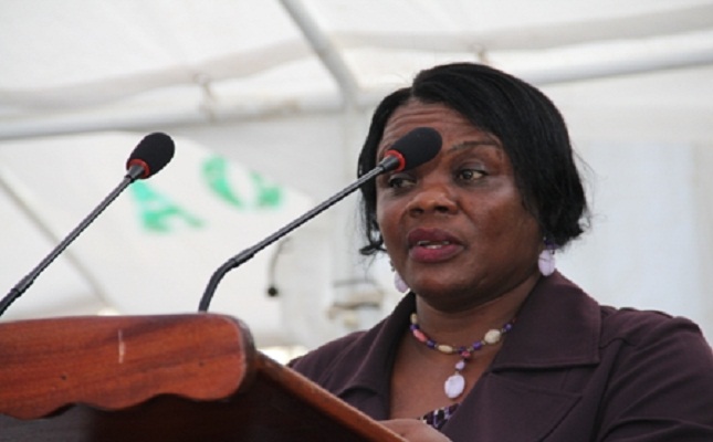 SKNVibes | New Educational Facility will improve the people of Barnes ...