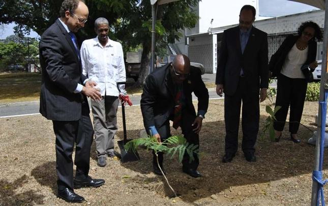 SKNVibes | PM Harris Launches CARPHA Federation Park “Greening ...