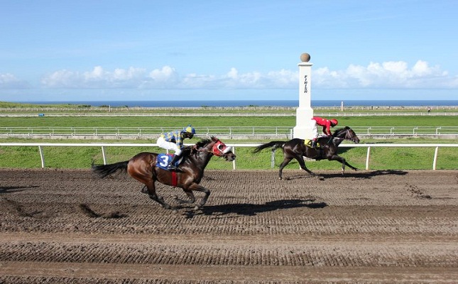 SKNVibes | St. Kitts and Nevis Racing Commission appointed